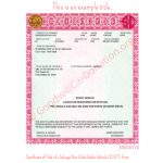 How To Sign Your South Carolina Title For Car Donation