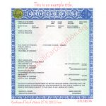 How To Sign Your South Carolina Title For Car Donation