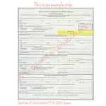 How To Sign Your South Carolina Title For Car Donation