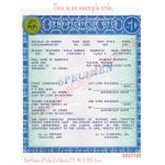 How To Sign Your South Carolina Title For Car Donation