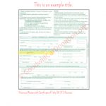 How To Sign Your South Carolina Title For Car Donation