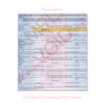 Texas Vehicle Title Transfer | Texas Title Information