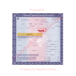 Texas Vehicle Title Transfer | Texas Title Information