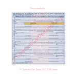 Texas Vehicle Title Transfer | Texas Title Information