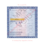 Texas Vehicle Title Transfer | Texas Title Information