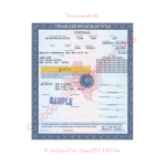 Texas Vehicle Title Transfer | Texas Title Information