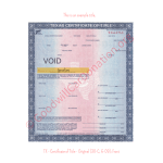 Texas Vehicle Title Transfer | Texas Title Information