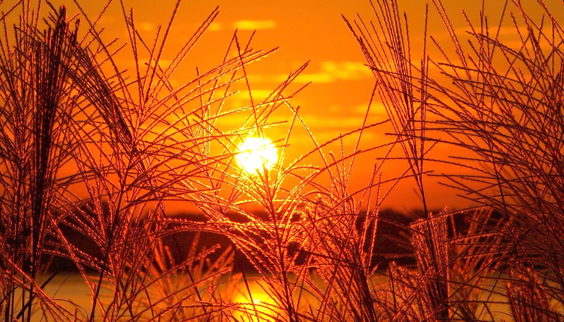 Rincon, Georgia Car Donations | Goodwill Car Donations