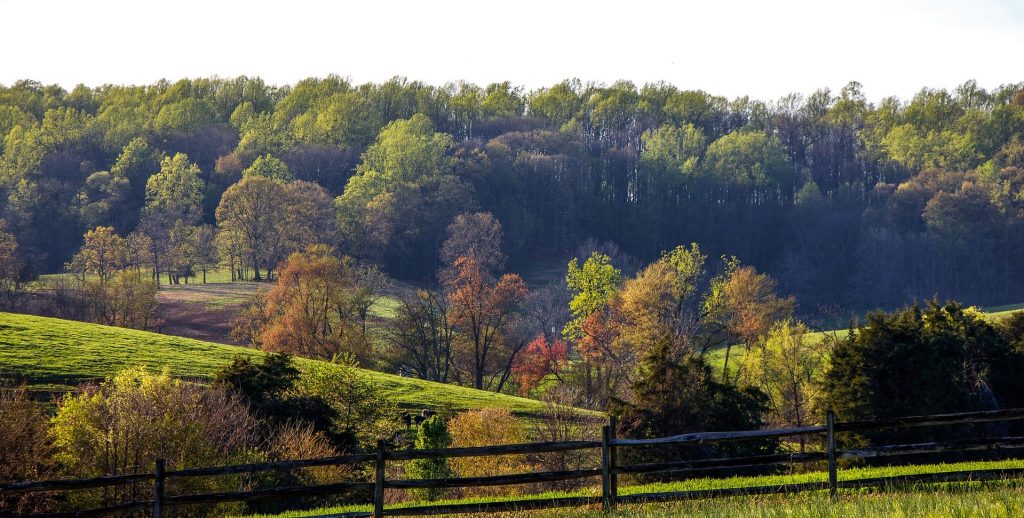 Orange, Virginia Car Donations | Goodwill Car Donations