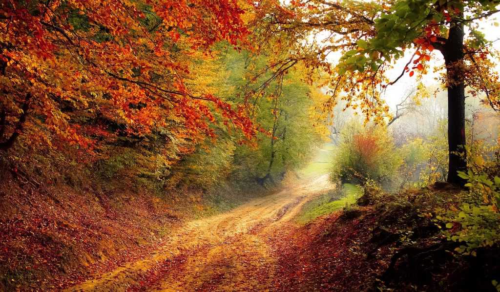 First Day Of Fall Autumn Goodwill Car Donations first-day-of-fall-autumn-goodwill-car-donations