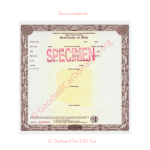 How To Sign Your Arizona Vehicle Title - Goodwill Car Donation