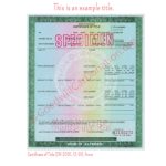 How To Sign Your Colorado Title For Vehicle Donation