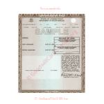 Here's How to Sign Your Vehicle Title in Connecticut | Goodwill