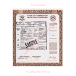 Here's How to Sign Your Vehicle Title in Connecticut | Goodwill