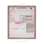 Here's How to Sign Your Vehicle Title in Connecticut | Goodwill