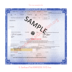 How To Sign Your Florida Vehicle Title | Goodwill Car Donations