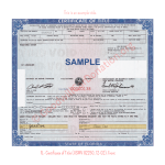 How To Sign Your Florida Vehicle Title | Goodwill Car Donations