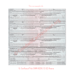 How To Sign Your Florida Vehicle Title | Goodwill Car Donations