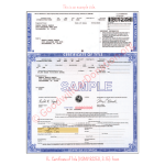 How To Sign Your Florida Vehicle Title | Goodwill Car Donations