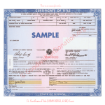 How To Sign Your Florida Vehicle Title | Goodwill Car Donations