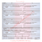 How To Sign Your Florida Vehicle Title | Goodwill Car Donations