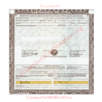 How To Sign Your Florida Vehicle Title | Goodwill Car Donations