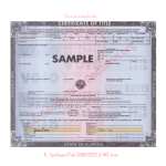 How To Sign Your Florida Vehicle Title | Goodwill Car Donations