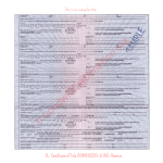 How To Sign Your Florida Vehicle Title | Goodwill Car Donations