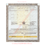 How To Sign Your Florida Vehicle Title | Goodwill Car Donations