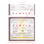 How To Sign Your Florida Vehicle Title | Goodwill Car Donations