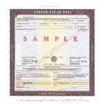 How To Sign Your Florida Vehicle Title | Goodwill Car Donations