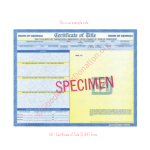 How to Sign Your Georgia Titles | Goodwill Car Donations