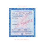 How To Sign Your Massachusetts Title - Goodwill Car Donation
