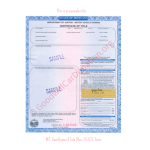 How To Sign Your Montana Vehicle Title - Goodwill Car Donation