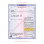 How To Sign Your Montana Vehicle Title - Goodwill Car Donation