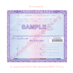 How To Sign Your New Jersey Title - Goodwill Car Donation