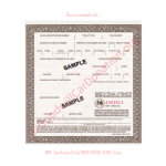 How To Sign Your New Mexico Vehicle Title - Goodwill Car Donation