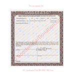 How To Sign Your New York Vehicle Title - Goodwill Car Donation