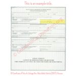 How To Sign Your Vehicle Title in South Carolina | GCD