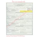 How To Sign Your Vehicle Title in South Carolina | GCD