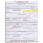 How To Sign Your Vehicle Title in South Carolina | GCD