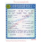 How To Sign Your Vehicle Title in South Carolina | GCD