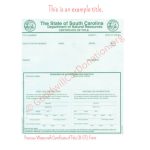 How To Sign Your Vehicle Title in South Carolina | GCD