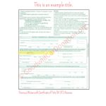 How To Sign Your Vehicle Title in South Carolina | GCD