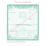 How To Sign Your Vehicle Title in South Carolina | GCD