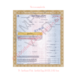 How To Sign Your Vehicle Title in Texas | Goodwill Car Donation