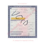 How To Sign Your Vehicle Title in Texas | Goodwill Car Donation